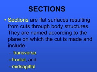 2. anatomy term chapter 2 | PPT