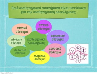 Αισθητηριακή Επεξεργασία | PPT