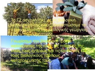 βιολογική καλλιέργεια ελιάς | PDF