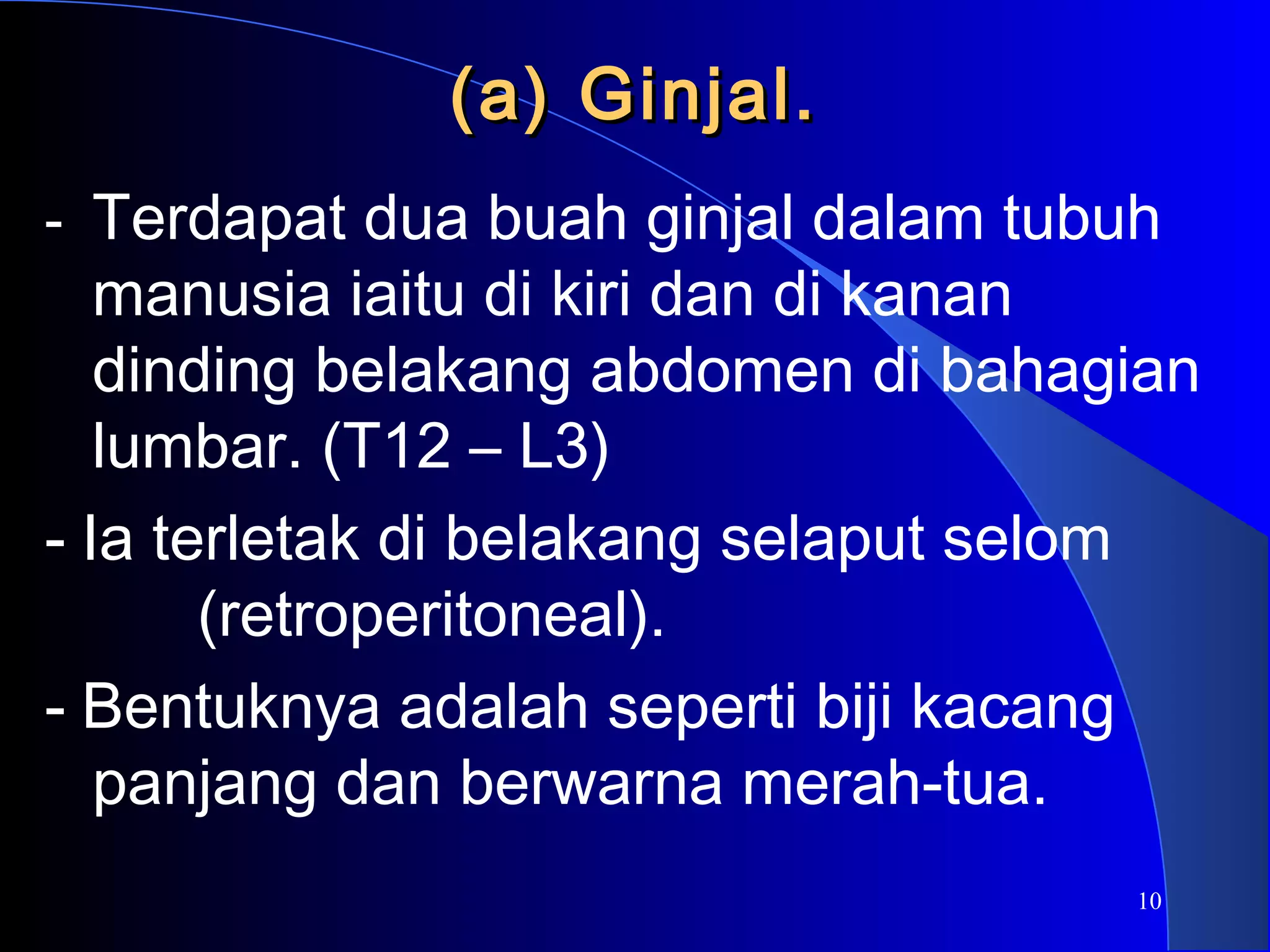 2.0 anatomi genito urinari 1 | PPT