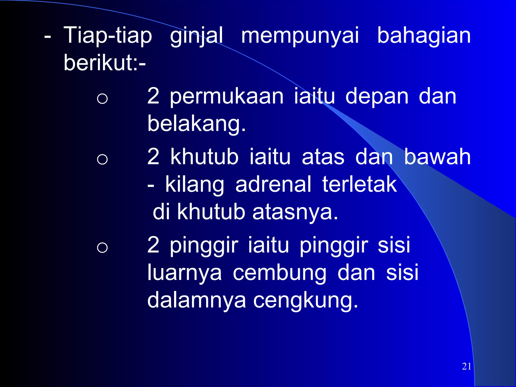 2.0 anatomi genito urinari 1 | PPT