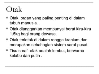 2.1 struktur & fisiologi sistem saraf pusat | PPT