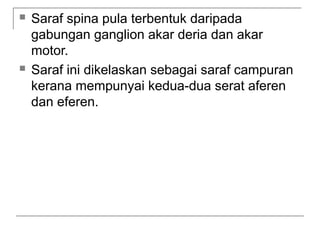 2.1 struktur & fisiologi sistem saraf pusat | PPT