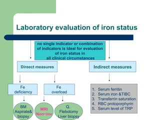 Iron Deficiency Anemia | PPT