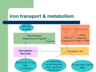 Iron Deficiency Anemia | PPT