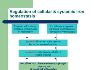 Iron Deficiency Anemia | PPT