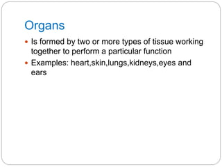 2.2 cell organisation (biology) | PPTX