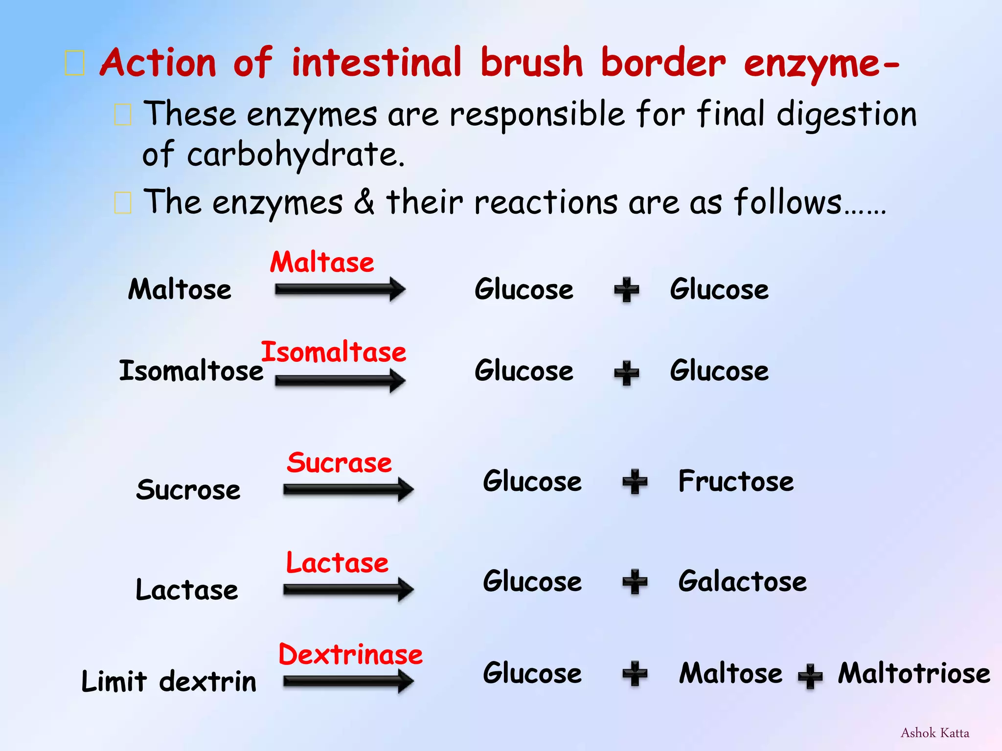 Digestion and Absorption of carbohydrates | PPSX
