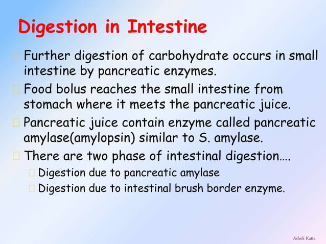 Digestion and Absorption of carbohydrates | PPSX | Digestive Disorders ...