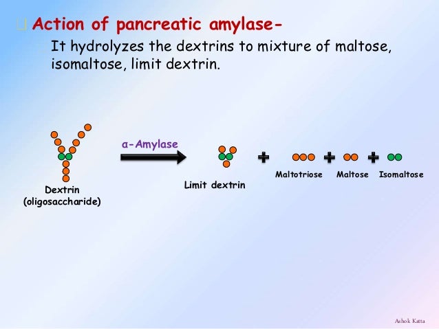 Digestion and Absorption of carbohydrates