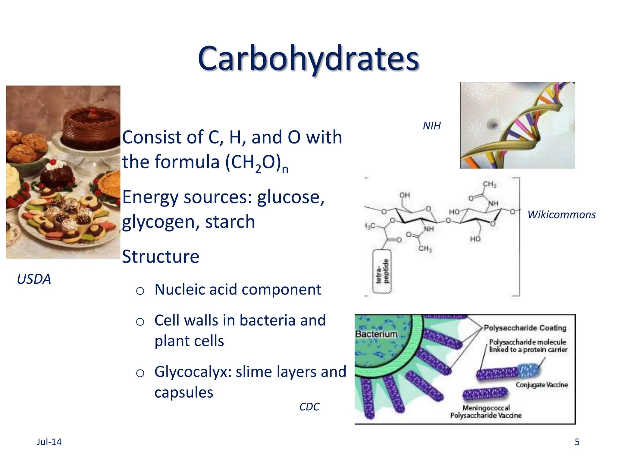 Microbiology for Nursing Students: 2. Review of Macromolecules | PPT