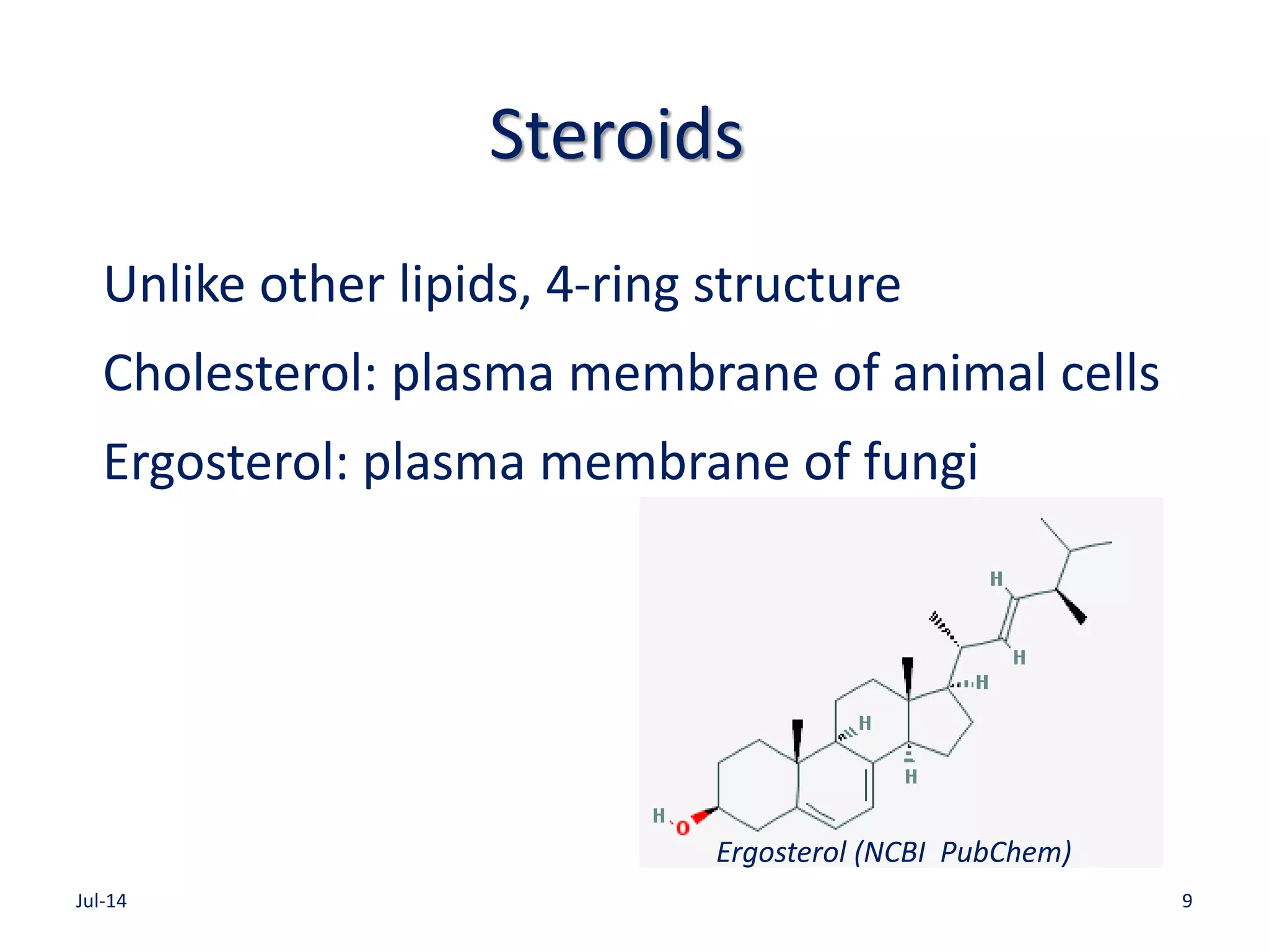 Microbiology for Nursing Students: 2. Review of Macromolecules | PPT