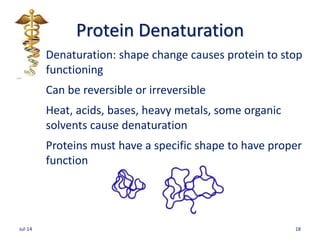 Microbiology for Nursing Students: 2. Review of Macromolecules | PPTX