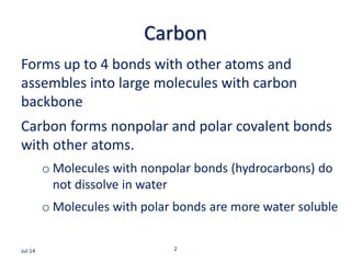 Microbiology for Nursing Students: 2. Review of Macromolecules | PPT
