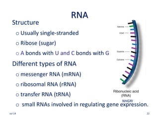 Microbiology for Nursing Students: 2. Review of Macromolecules | PPTX