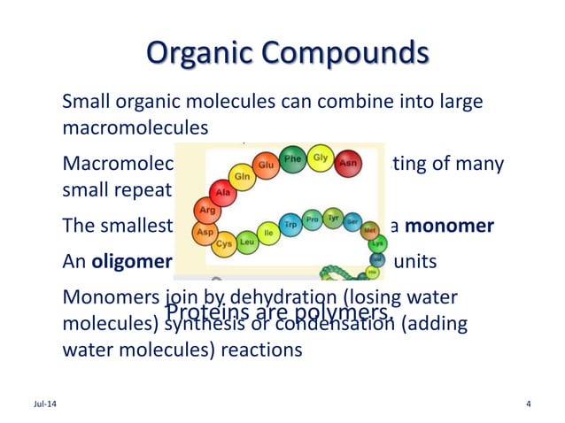 Microbiology for Nursing Students: 2. Review of Macromolecules | PPT