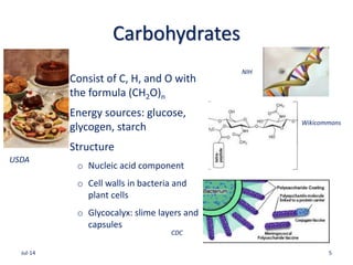 Microbiology for Nursing Students: 2. Review of Macromolecules | PPT