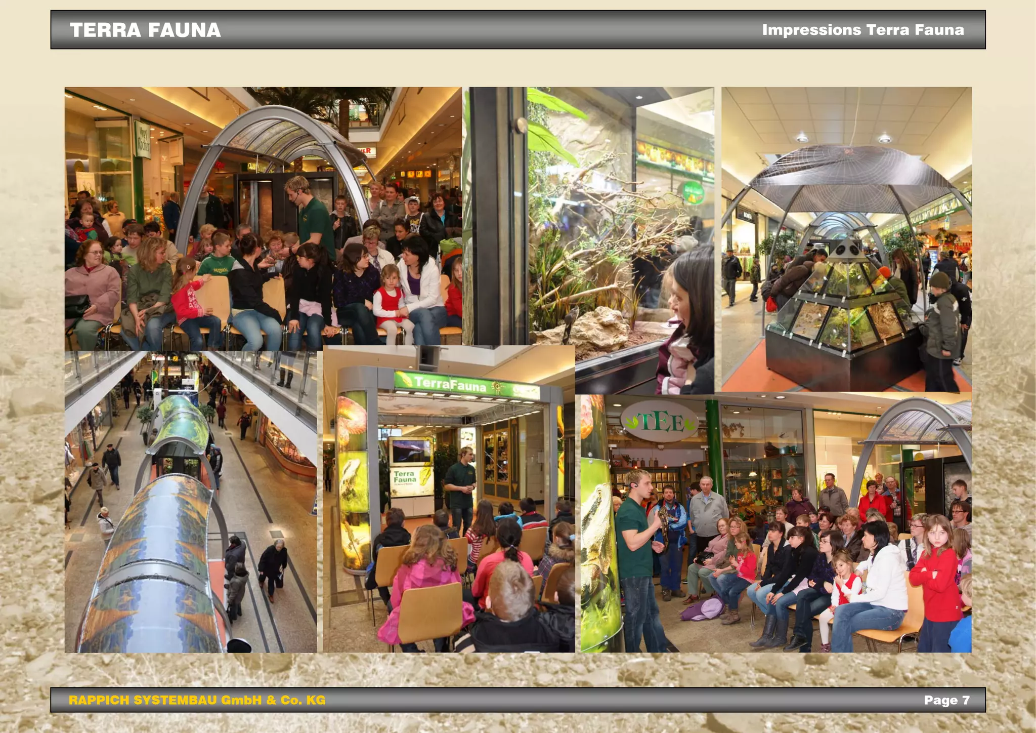 Terra Fauna - The World of Reptiles - Interactive Exhibition made in ...