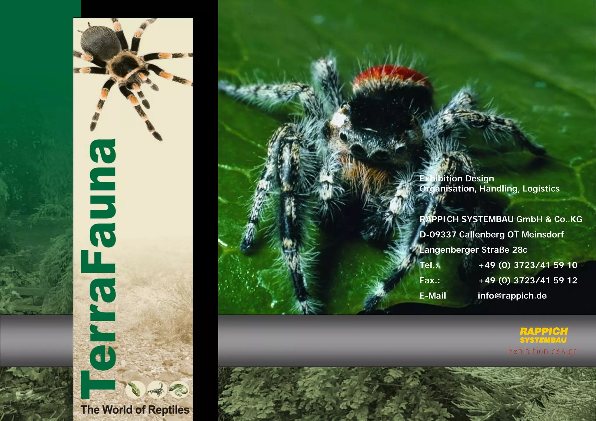 Terra Fauna - The World of Reptiles - Interactive Exhibition made in ...