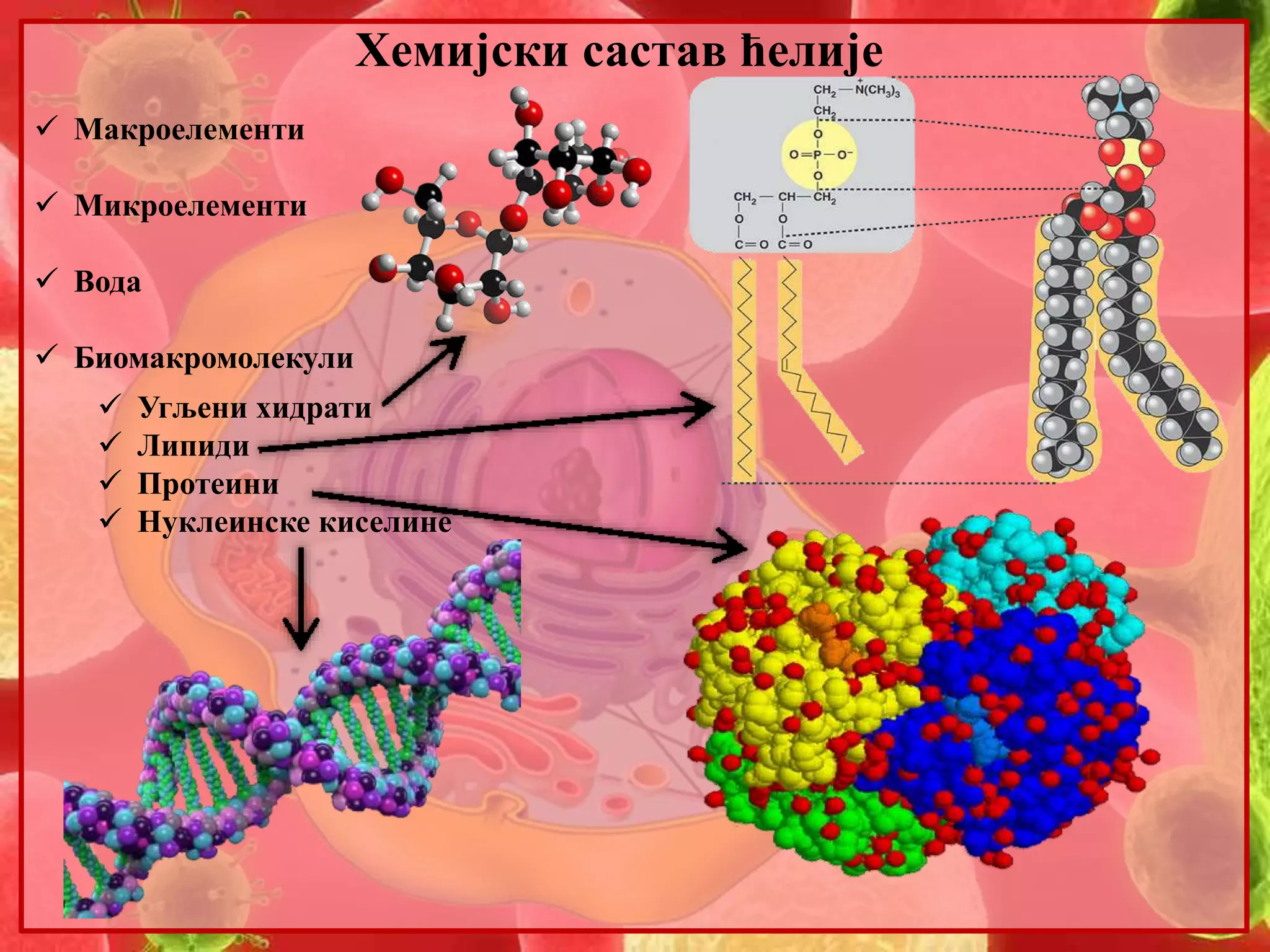 2. Hemijski sastav celije | PPTX