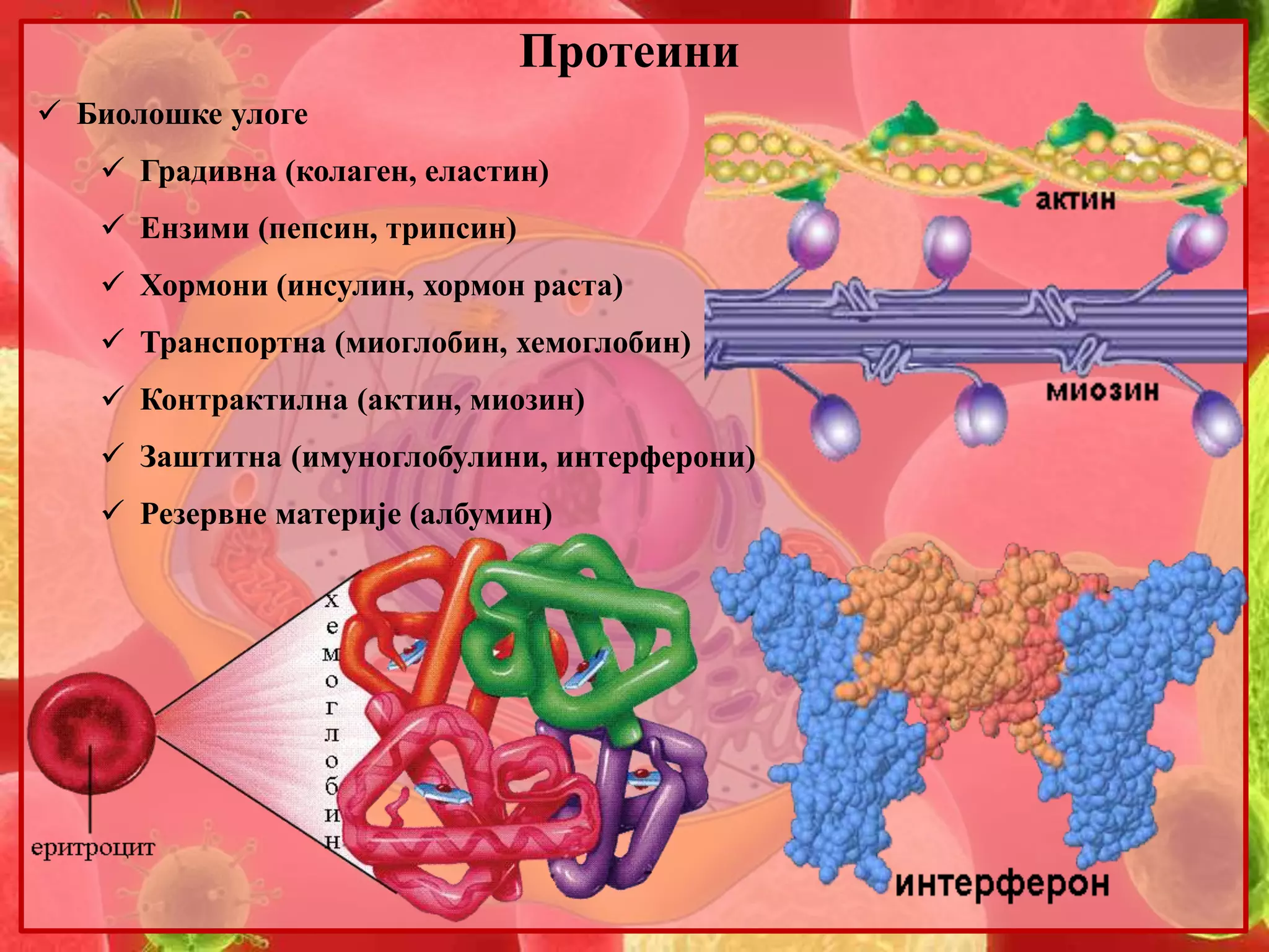 2. Hemijski sastav celije | PPTX