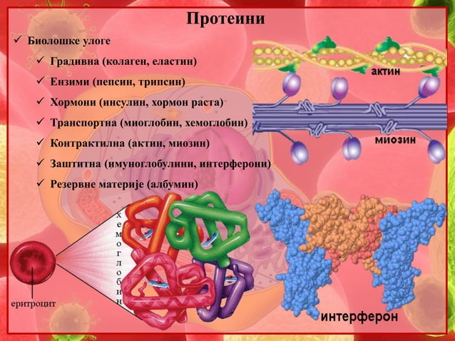 2. Hemijski sastav celije | PPTX