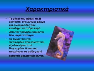 ε2 ιπποκαμπος | PPT