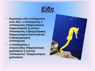 ε2 ιπποκαμπος | PPT