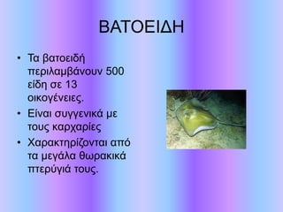 ε2 σαλαχι | PPT