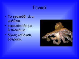 ε2 χταποδι | PPT