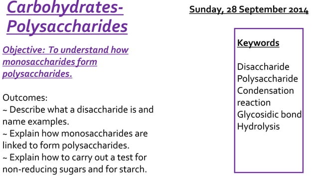 AS-U1-2.3 Carbohydrates-disaccharides and polysaccharides | PPTX