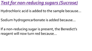 AS-U1-2.3 Carbohydrates-disaccharides and polysaccharides | PPTX
