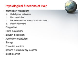 functions-of-the-liver-lft | PPT