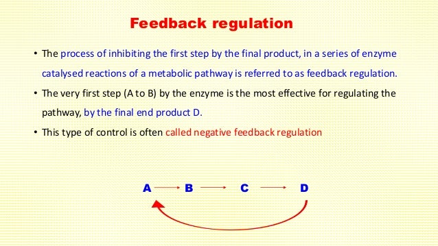Feedback Inhibition Definition Example And A Brief