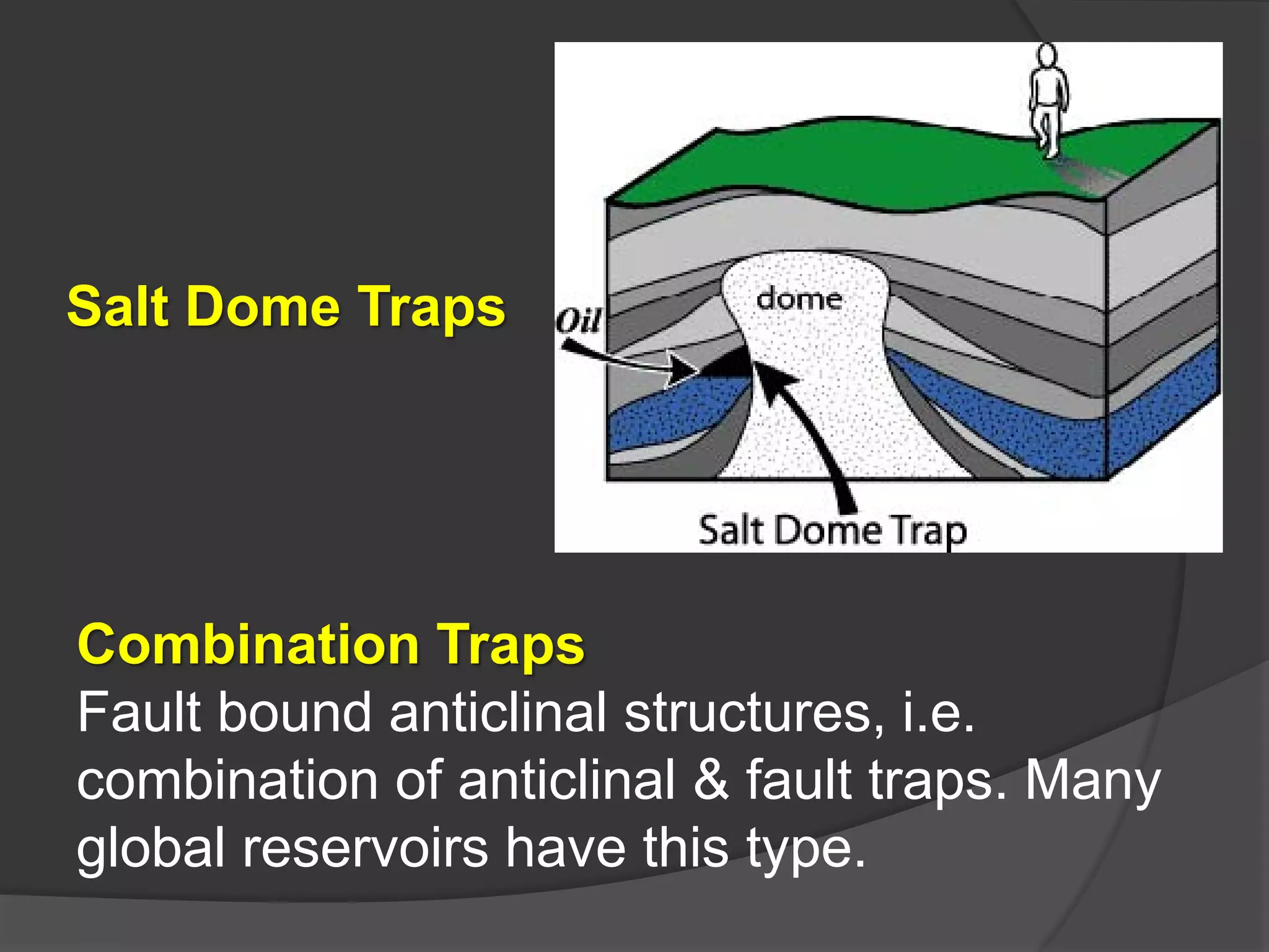 Petroleum Geology - Origin of Petroleum | PDF