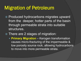 Petroleum Geology - Origin of Petroleum | PDF