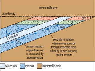Petroleum Geology - Origin of Petroleum | PDF