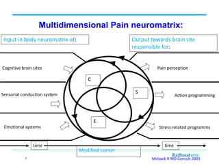 pain intervention in modern practice - kees besse | PPTX