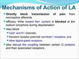 LOCAL ANESTHETICS | PPT