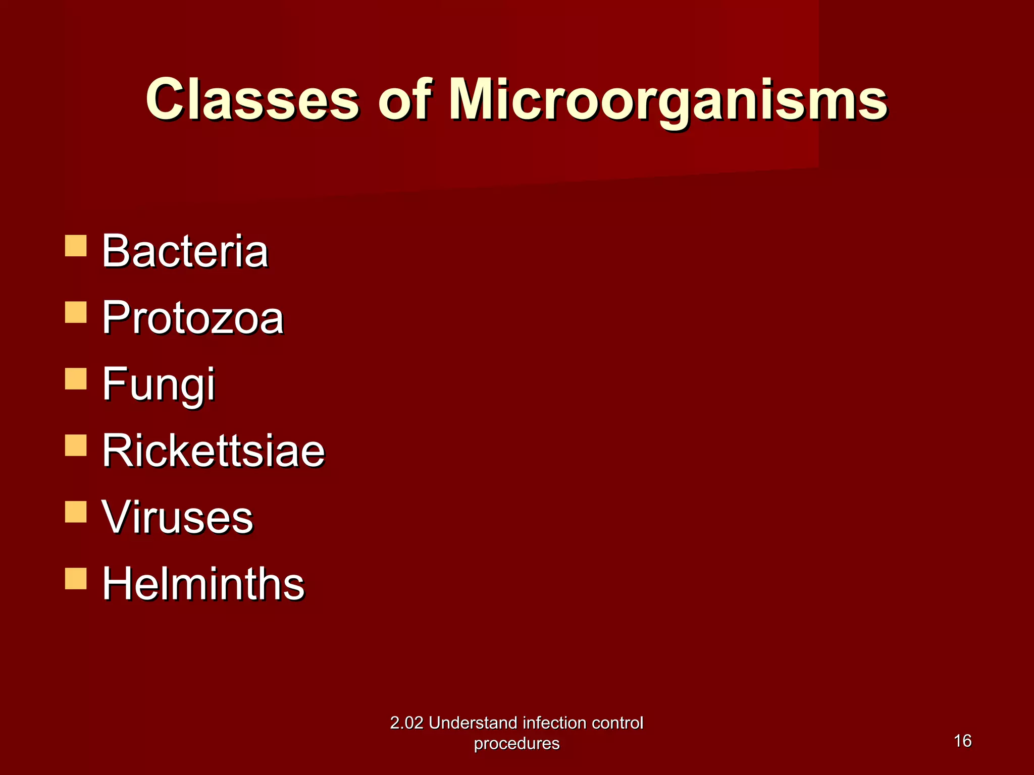 2.02 Classes of Microorganisms | PPT