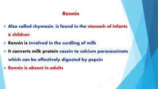 DIGESTION & ABSORPTION OF PROTEINS | PPTX
