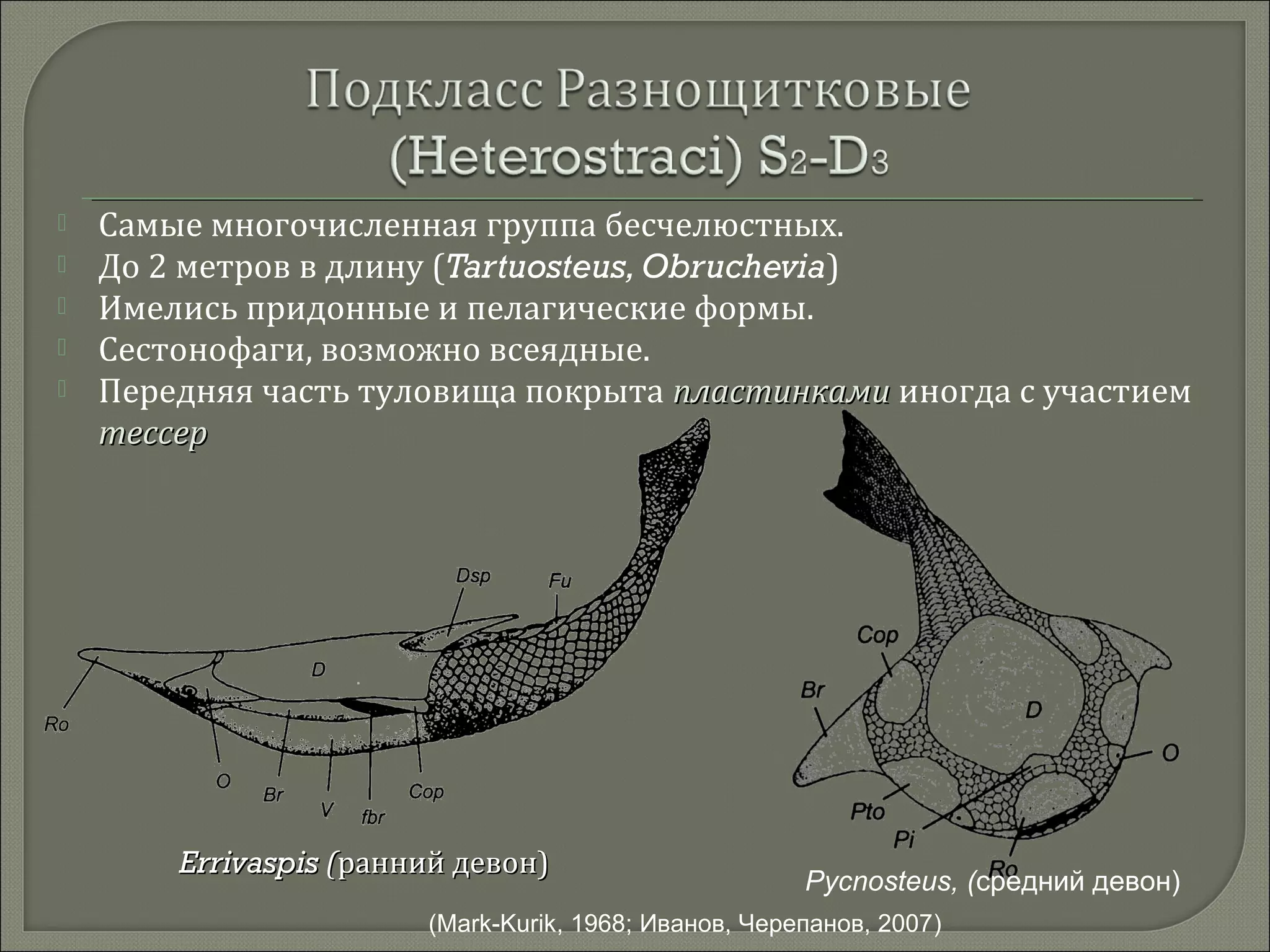 Lesson 2: Jawless vertebrates (Agnatha) | PPT