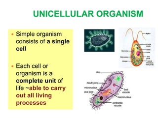BIOLOGY FORM 4 CHAPTER 2 PART 2 - CELL ORGANIZATION | PPTX