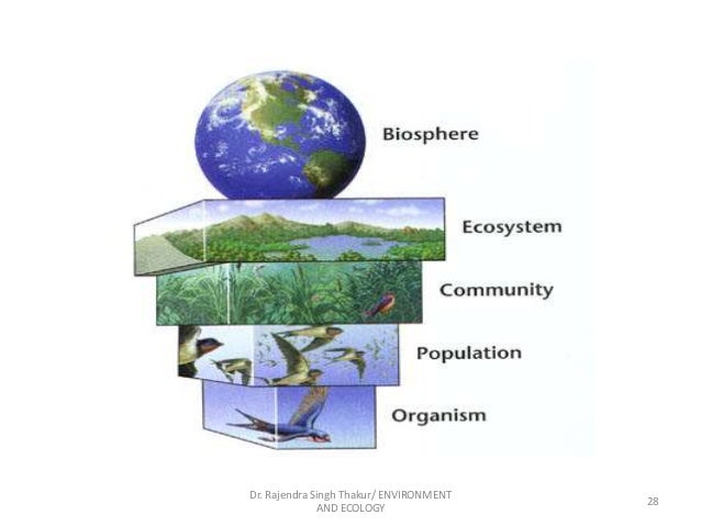 Environment and its segments