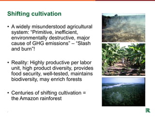 Shifting cultivation and forest landscapes in the Amazon | PPTX