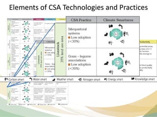 Climate-Smart Agriculture Entry Points | PPTX