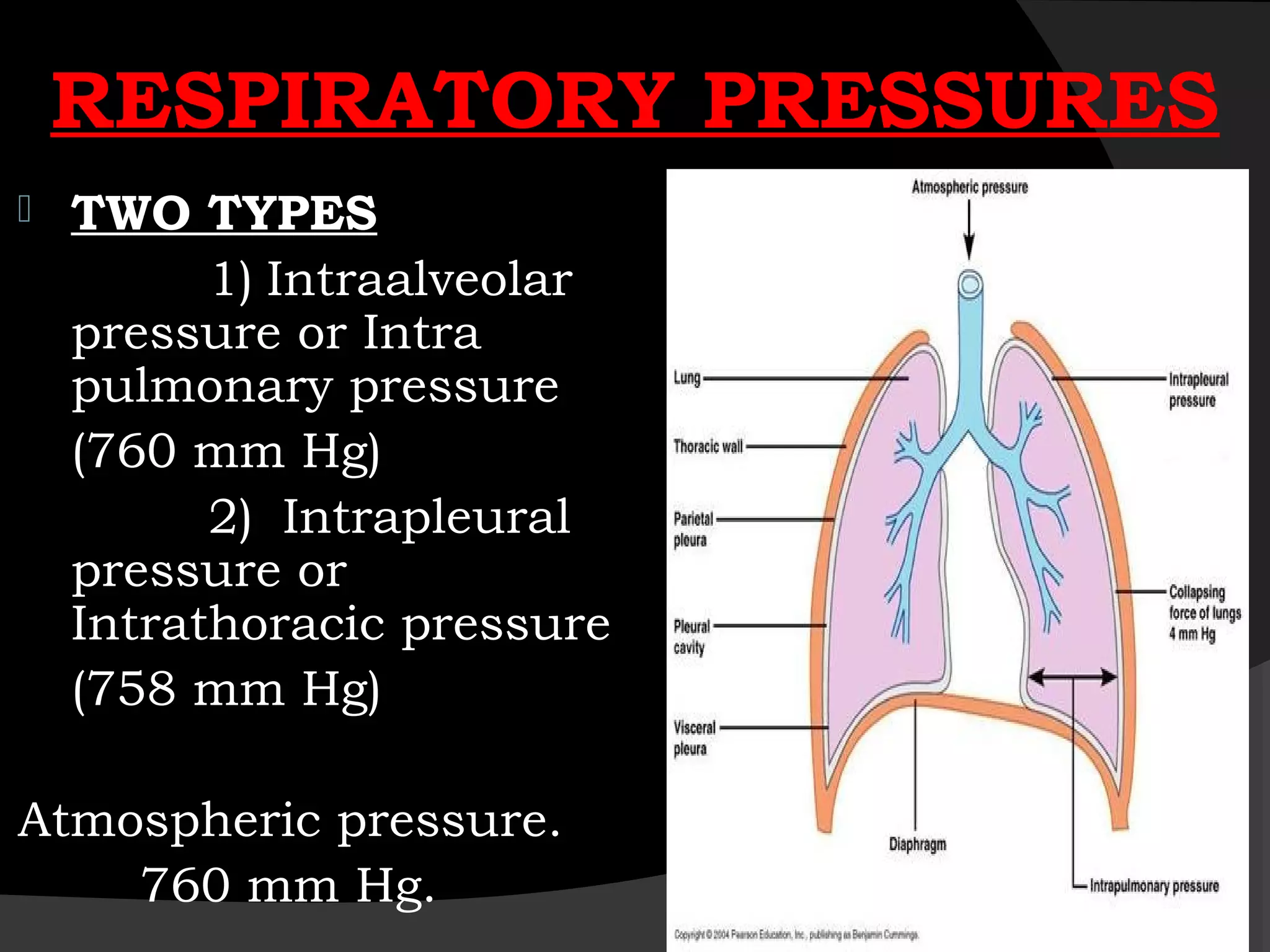 MECHANICS OF BREATHING | PPT