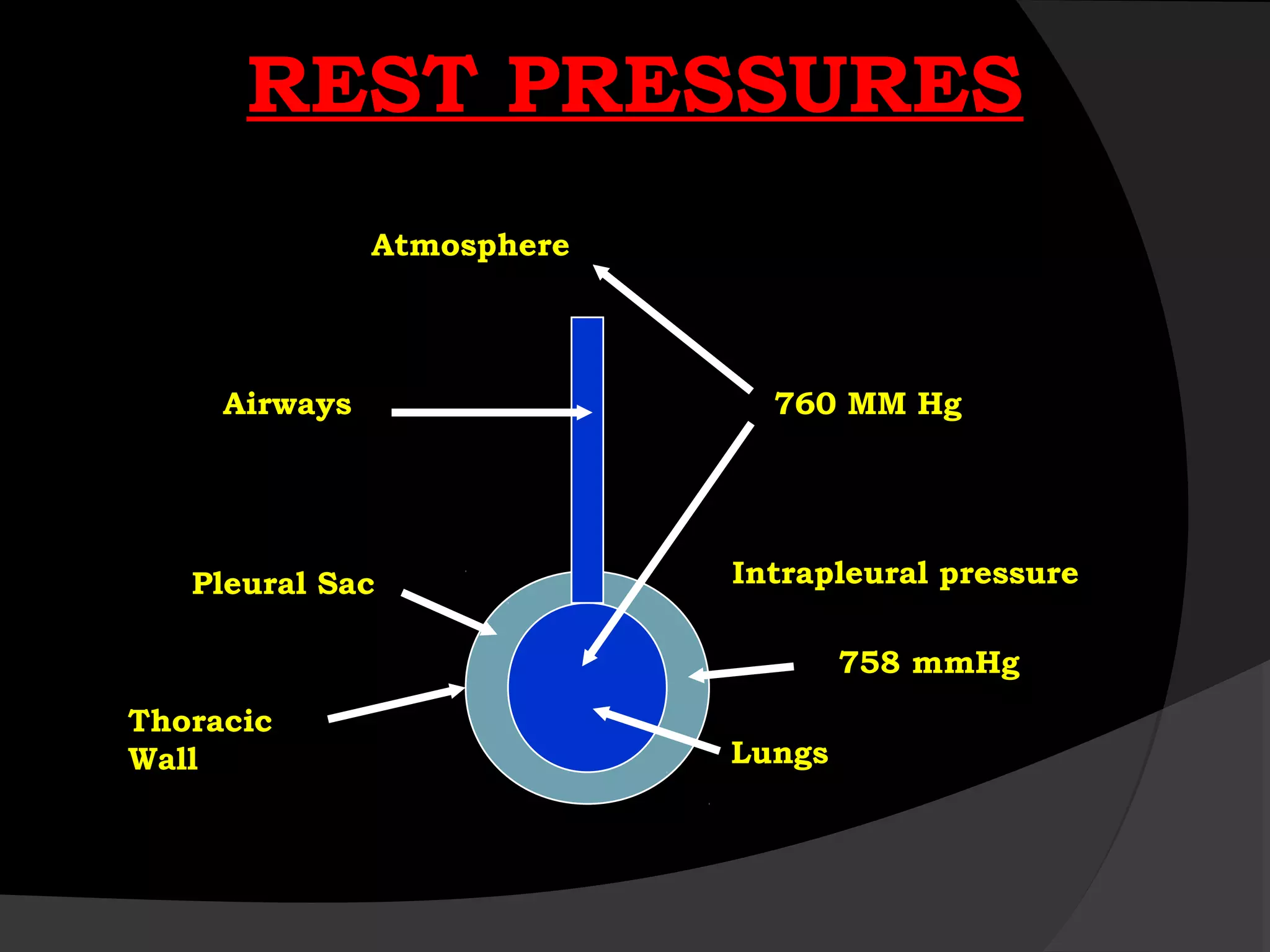 MECHANICS OF BREATHING | PPT