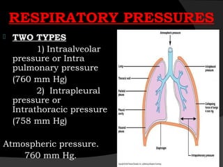 MECHANICS OF BREATHING | PPT