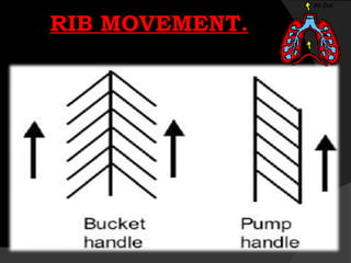 MECHANICS OF BREATHING | PPT